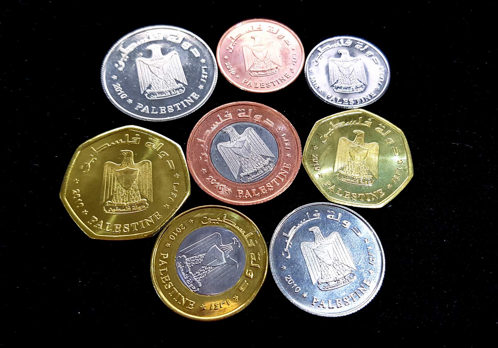 Palestine coins set of 8 pieces birds and animal 2010 UNC ...